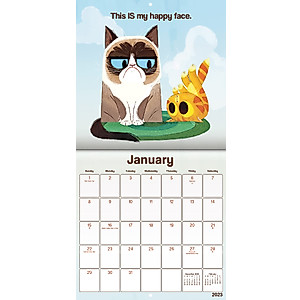 2023 Grumpy Cat Mini Wall Calendar