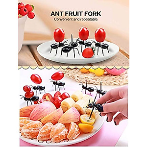Ant Toothpicks Fruit Dessert Fork (24Pcs) – OOTSR Reusable Ant Food Pick Animal Appetizer Forks for Snack Cake Dessert with Storage Box for Kitchen Baby Shower Wedding Birthday Party