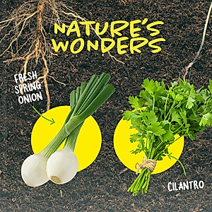 Root Viewer Kit for Kids - Easter Gifts - Grow Your Own Plant for Boys & Girls - Science STEM Toy & Craft Growing Kits for Ages 4-8 Birthday Gifts for Boy, Girl 4, 5, 6, 7, 8, Year Old - Gardening Toy