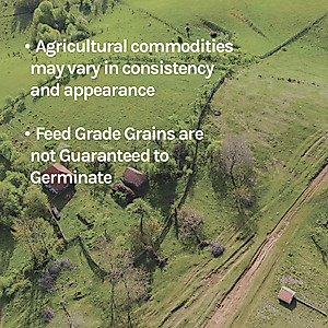 New Country Organics | Alfalfa Pellets for Livestock | Certified Organic and Non-GMO | 50 lbs