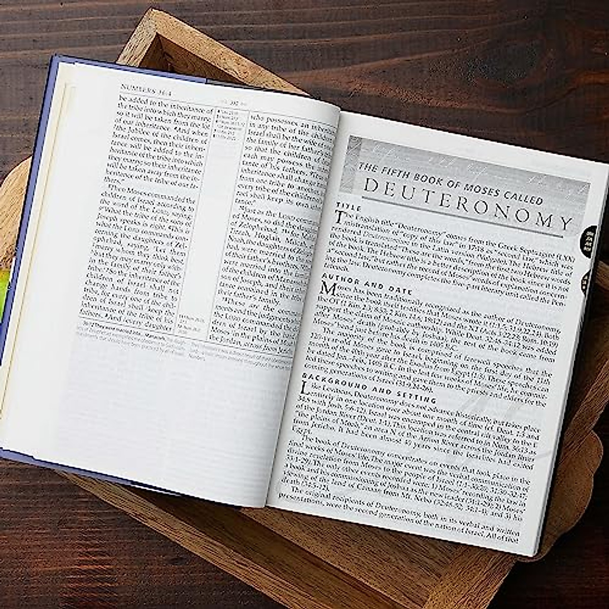 NKJV, The MacArthur Study Bible, Large Print, Bonded Leather, Black, Thumb Indexed: Holy Bible, New King James Version