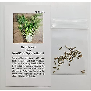 David's Garden Seeds Fennel Fino FBA-00058 (Green) 50 Non-GMO, Heirloom Seeds