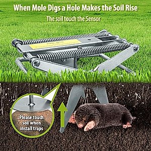 YardYield Mole Trap,Galvanized Steel Mole Scissor Trap,Reusable Mole Gopher Trap,Easy Set Quick Capture Gopher Trap for Lawns (Silver)