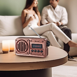 Gelielim Portable Radio with Bluetooth, FM Radio with Loud Volume, Digital Radio Retro Bluetooth Speaker with LED Display Support TF Card/USB, Present for Grandparents for Kitchen Outdoor (No AM)