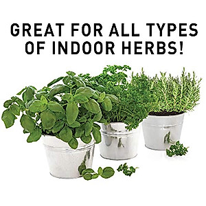 Jobe's 06127 Herb Fertilizer, 50 Spikes, Tan