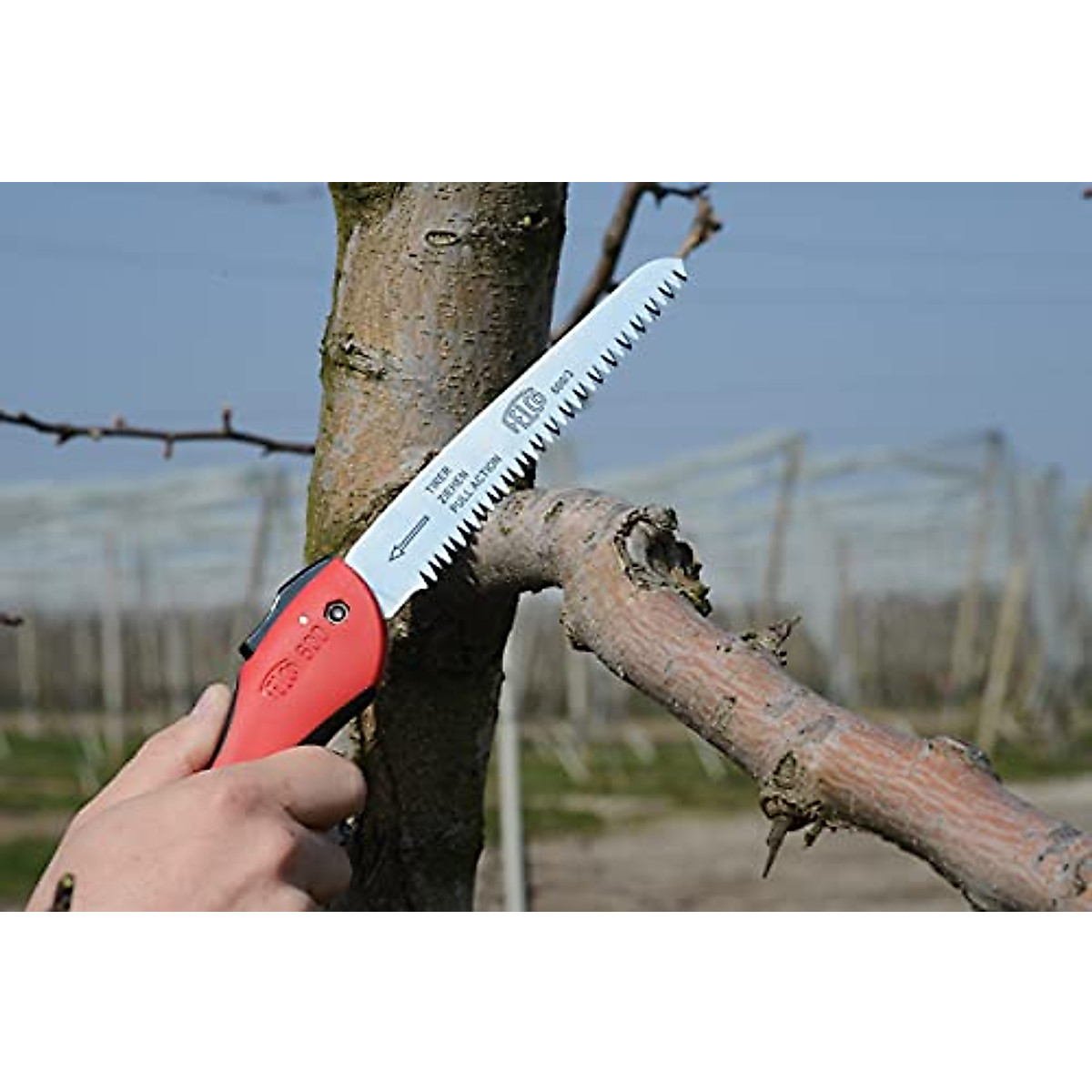 Felco Folding Saw (F 600) - Classic Tree Pruning Saw with Pull-Stroke Action, Red