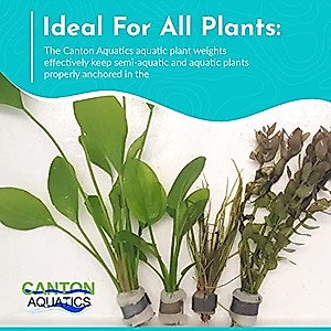 CANTON AQUATICS Anchor Lead Plant Holder Flexible Weight - Easy to Manipulate - Used for Submerge Plants in Aquariums or Ponds - 10 Piece Lead Strips - Grey