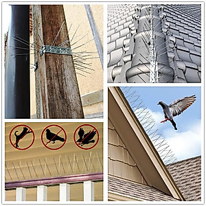 AOKKR Bird Spikes for Pigeon and Small Birds Squirrel Raccoon Cats Crow Bird Defender Spikes for Outside to Keep Birds Away, Anti Bird Stainless Steel Spikes for Railing (21.7ft)