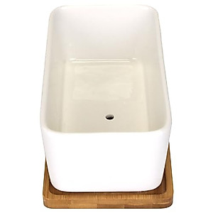 Ceramic Succulent Pots - 1 Pot - Short Rectangle - with Bamboo Tray - White - 6.3"