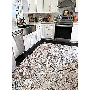 Kemer Collection Machine Washable Area Rug for Living Room Bedroom - Vintage Distressed Faded - Traditional Boho Bohemian Farmhouse Bordered Carpet - Pet Friendly - Brown, Beige, Cream - 7'6" x 9'6"