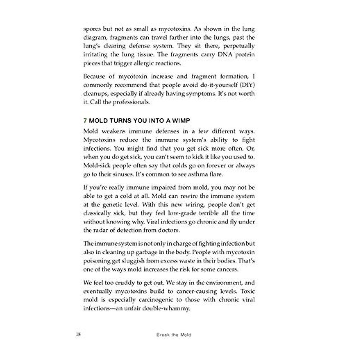 Break the Mold: 5 Tools to Conquer Mold and Take Back Your Health