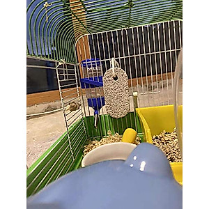 Toukeroue Hamster Chew Stones, 6 Pack Natural Volcano Lava Block Hamster Teeth Grinding Stones, Small Animal Teeth Molar Grinding Toys for Guinea Pig Hamster Rabbit Chinchilla Bird Parrot