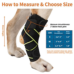 PETNEDO Dog Canine Rear Leg Hock Joint Brace for Medium and Large Dog, Compression Wrap with Straps & Metal Spring Strips Protects Wounds, Heals, Prevents Injuries and Sprains from Arthritis-S
