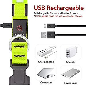 VIZPET LED Dog Collar USB Rechargeable 100% Waterproof Adjustable Light Up Dog Collar Super Bright Safety Light Glowing Collars for Dogs (Green, Medium)