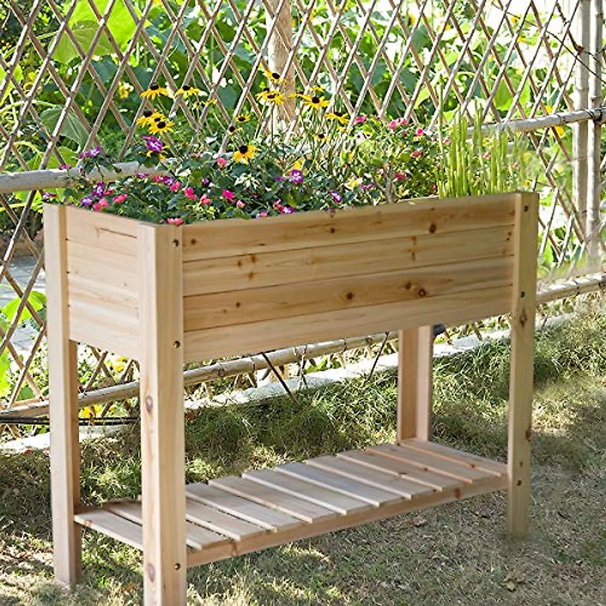 Raised Garden Bed Wood Planter Box Outdoor Wooden Elevated Planters ...