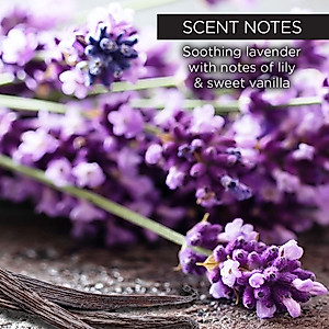 Whish Beauty Body Butter for Women - Moisturizing Body Lotion for Dry Skin - Antioxidant-Rich with Shea Butter, Aloe, & Raspberry Butter - Paraben & Sulfate Free - Lavender - 5 fl oz