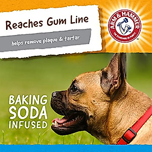 Arm & Hammer For Pets Nubbies Dental Toys Gator Dental Chew Toy for Dogs | Best Dog Chew Toy For Moderate Chewers | Reduces Plaque & Tartar Buildup Without Brushing, Gator
