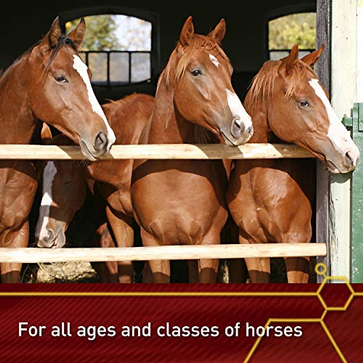 Vita Flex Pro E-5000 Premium Quality Horse Vitamin E, 4 lbs., 128-Day Supply