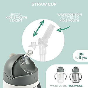 Beaba Stainless Steel Straw Sippy Cup, Sippy Cup with Removable Handles, Sippy Cup with Straw, 8+ months, 8.5 oz (Rain)