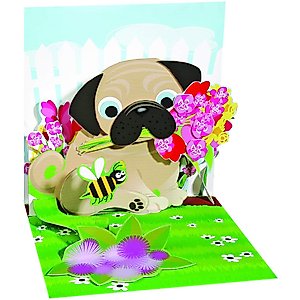 Up With Paper Birthday Greeting Card For Him - Pug Bouquet Pop-Up, Multicolor (865)