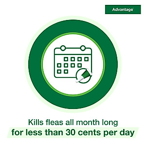 Advantage Topical Cat Flea Treatment and Prevention for Small Cats 2-9 lbs. | Apply Flea Drops Monthly | 2 Treatments