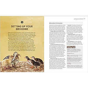 Hatching & Brooding Your Own Chicks: Chickens, Turkeys, Ducks, Geese, Guinea Fowl