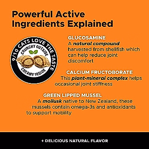 Pet Honesty Cat Hip & Joint Health Chews - Glucosamine for Cats, Cat Joint Support Supplement, Cat Health Supplies & Hip Support, Cat Vitamins for Indoor Cats & Outdoor Cats - Chicken (30-Day Supply)