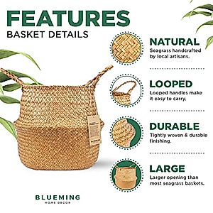 Blueming Home Decor Plant Baskets – Set of 2, Twin Pack Large Hand Woven Seagrass Rattan Belly Planter with Handles for Plant Pots, Home Decor, Organizer, Laundry (Original, 12 Inch x 10 Inch)