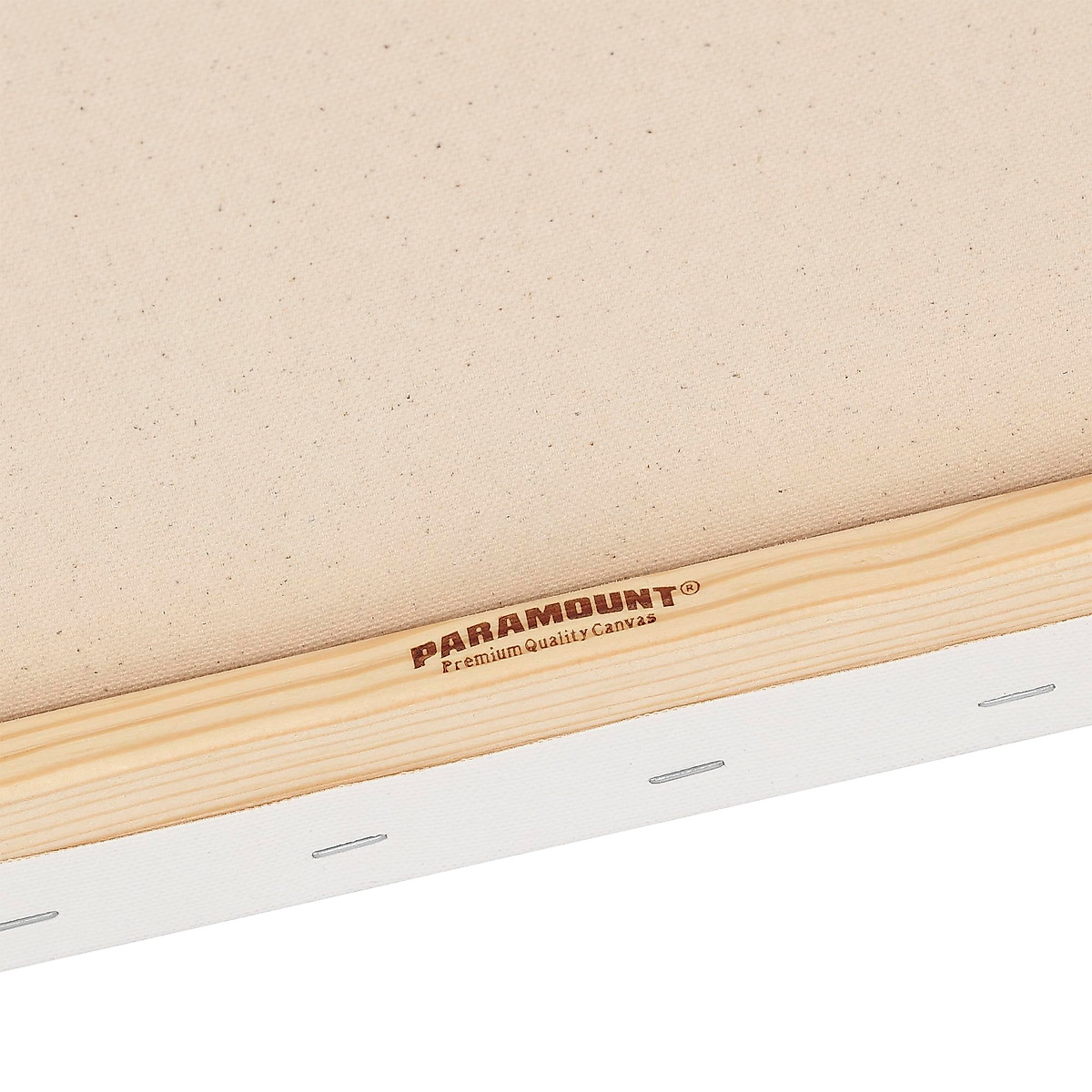 Paramount Pre-Stretched Canvas for Painting- 2-Pack, 8x10" Triple Primed White Canvases- 11/16" Deep, 100% Cotton Stretched Canvas for All Media, Medium Tooth, Back-Stapled, 12oz Primed Weight