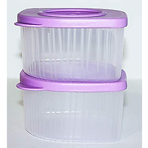 Tupperware Fresh N Cool 2 Cup Set of 2 in Sheer and Daisy Purple