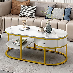 Qiyom Modern Faux Marble Coffee Table, Oval Coffee Table with Storage Shelf and Metal Frame, White Coffee Table Cocktail Table for Living Room, Home Office