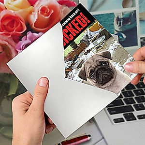 NobleWorks - 1 Cute Birthday Card with Envelope - Funny Wild Animals and Pets, Birthday Greeting - Dog Panicked C2233BDG