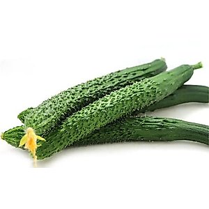 For 2024!Cucumber Seeds for Planting Vegetables and Fruits-Asian Suyo Long Cucumber Plant Seeds,Burpless Non GMO Garden Seeds Vegetable Seeds,Chinese Cucumber Seeds-11ct Veggie Seeds China Long Hybrid