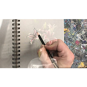 NeoLucida XL: a See-Through Camera Lucida Drawing Tool