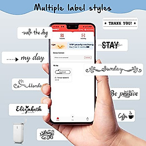 D11 Small Label Maker Handheld Mini Label Printer with 2 Tape and 1 Storage Box Multiple Templates Portable Label Printer Label Maker Machine with Tape USB Rechargeable for Phone Pad Office Home