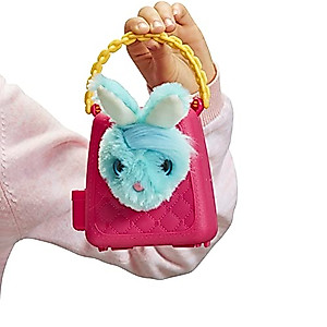 Little Live Scruff-A-Luvs Pets | Scruff-a-Luvs | Cutie Cuts Lil Snippers | Cut Fur, Reveal, Groom & Love Plush Rescue pet