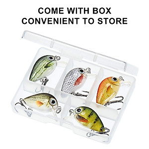10 Pieces Mini Fishing Lures Fishing Hard Baits Hooks Crankbaits Fishing Lures Baits Topwater Lures for Freshwater Saltwater Trout Bass Perch Fishing Lures with Box (Locust and Fish Series)