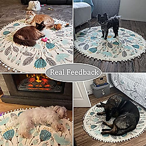 Uphome Round Rug for Bedroom 4' Circle Cute Area Rug with Pom Poms Fringe Floral Plant Washable Throw Rugs Non-Slip Soft Floor Mats for Entryway Laundry Living Room Kids Room Nursery
