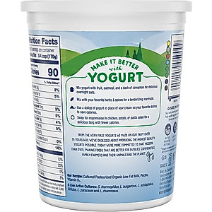 Stonyfield Organic Lowfat Yogurt, Plain, 32 oz. – 7g of Protein, Multiserving Yogurt Snack & Cooking Substitute