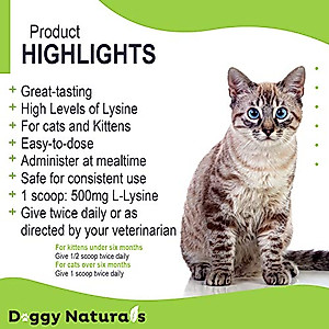 Trulysine L-Lysine for Cats Immune Support Oral Powder 4oz/100g - Cats & Kittens of All Age, Sneezing, Runny Nose Squinting, Watery Eyes - Fish & Poultry Flavor (U.S.A)(100 Grams ( 500mg / Scoop))