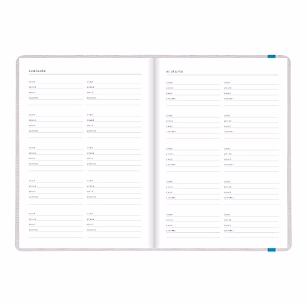 Letts of London Raw Weekly/Monthly Planner, 12 Months, January to December, 2024, Sewn Binding, A5 Size, 8.25" x 5.875", Multilingual, Grey (C082307-24)