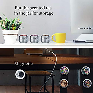 Stainless Steel Spice Tins Magnetic Spice Jars, Set of 12 Spice Storage Container Clear Lid Sift or Pour, Multi-Purpose Storage Tins with Window Top, Magnetic on Refrigerators or Grill