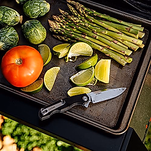 Kershaw Inception Folding Pocket Knife, 3.25 inch Blade with D2 Steel, Manual Opening and G10 Handle, Pocketclip