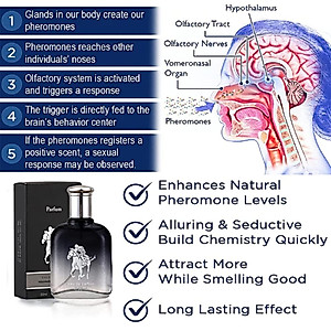 ANEFOSE HotDesire Pheromone Men Perfume, Golden Lure Pheromone Men Perfume, Pheromone Cologne for Men, Pheromones for Men to Attract Women Body Spray, 50ml (Forest+Marine)