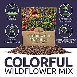 Texas Oklahoma Wildflower Seeds Mixture - Bulk 1 Ounce Packet - Over 15,000 Native Seeds - Open Pollinated and Non GMO