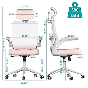 Ergonomic Office Chair, High Back Mesh Desk Chair with Molded Foam Cushion, Adjustable Headrest, Lumbar Support, Lock Function (Petal Pink)