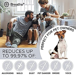 Breathe+ Pro Air Purifier Replacement Air Filter - Medical Grade HEPA Air Purifier - Air Purification System With Air Filter - Smart Air Purifier With Real-Time Air Quality Monitoring