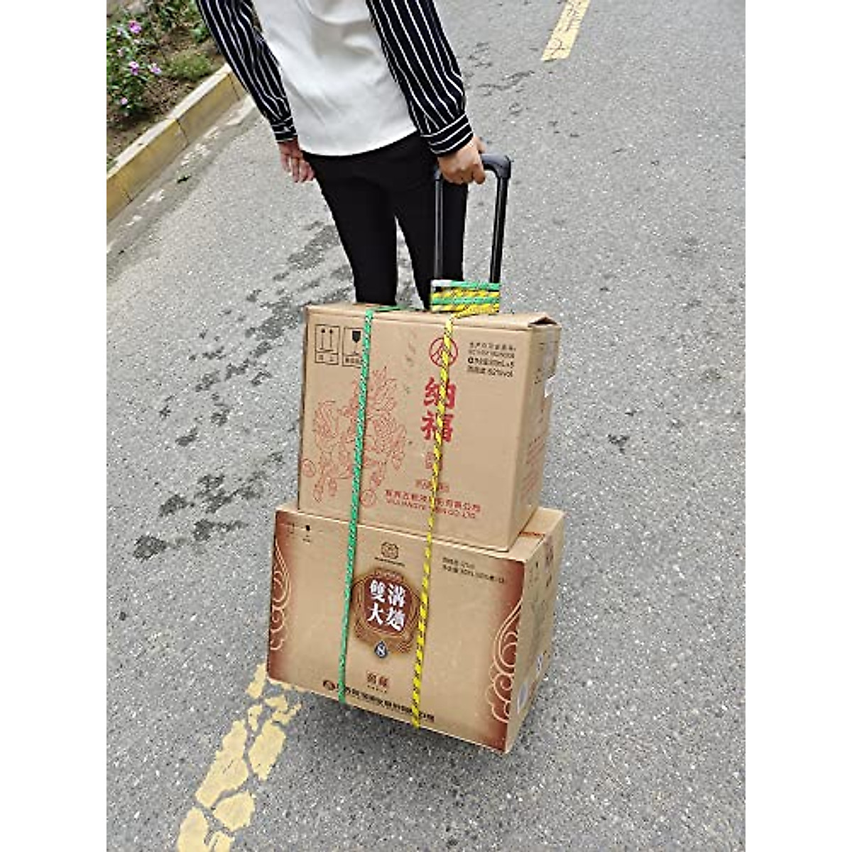 RShop Minisize Luggage Cart with 2 Wheels Lightweight Plastic Carrier Trolley Folding Hand Truck for Shopping Travel, Camping Moving and Office Use (Small Base Plate:12.6 inch X 9 inch), Black (KBGF)