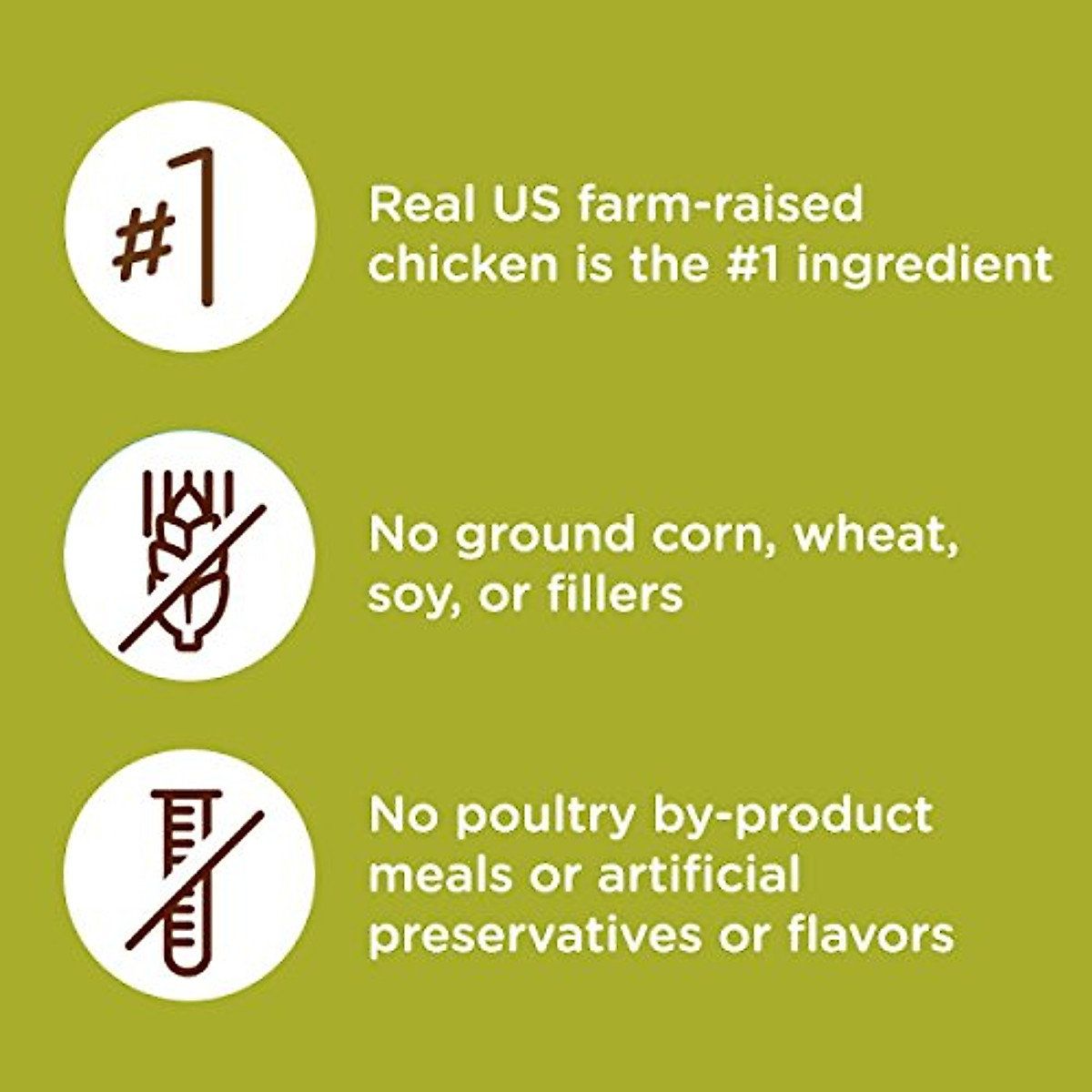 Rachael Ray Nutrish Premium Natural Dry Cat Food, Chicken & Brown Rice Recipe, 3 Pounds