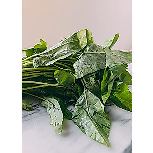 Gaea's Blessing Seeds - Ong Choy Seeds - Kong Xin CAI Kangkong - Non-GMO Seeds with Easy to Follow Planting Instructions 94% Germ Rate (Pack of 1)